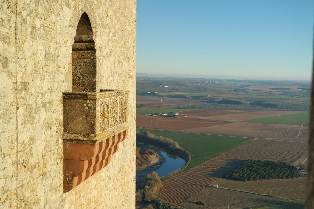 FOTOGRAFÍAS PARTICIPANTES | Valle del Guadalquivir